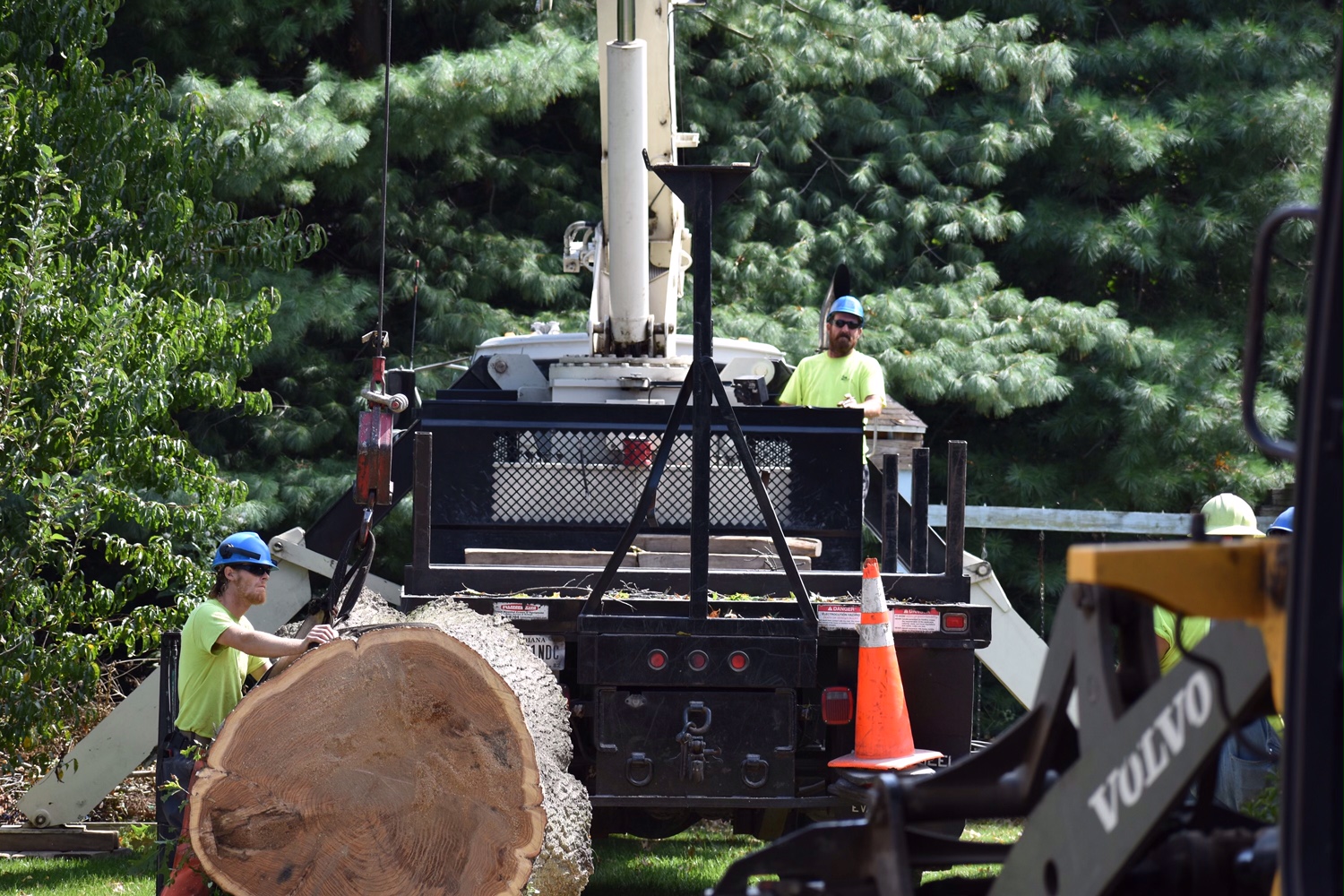 Services – Randy's Tree Service