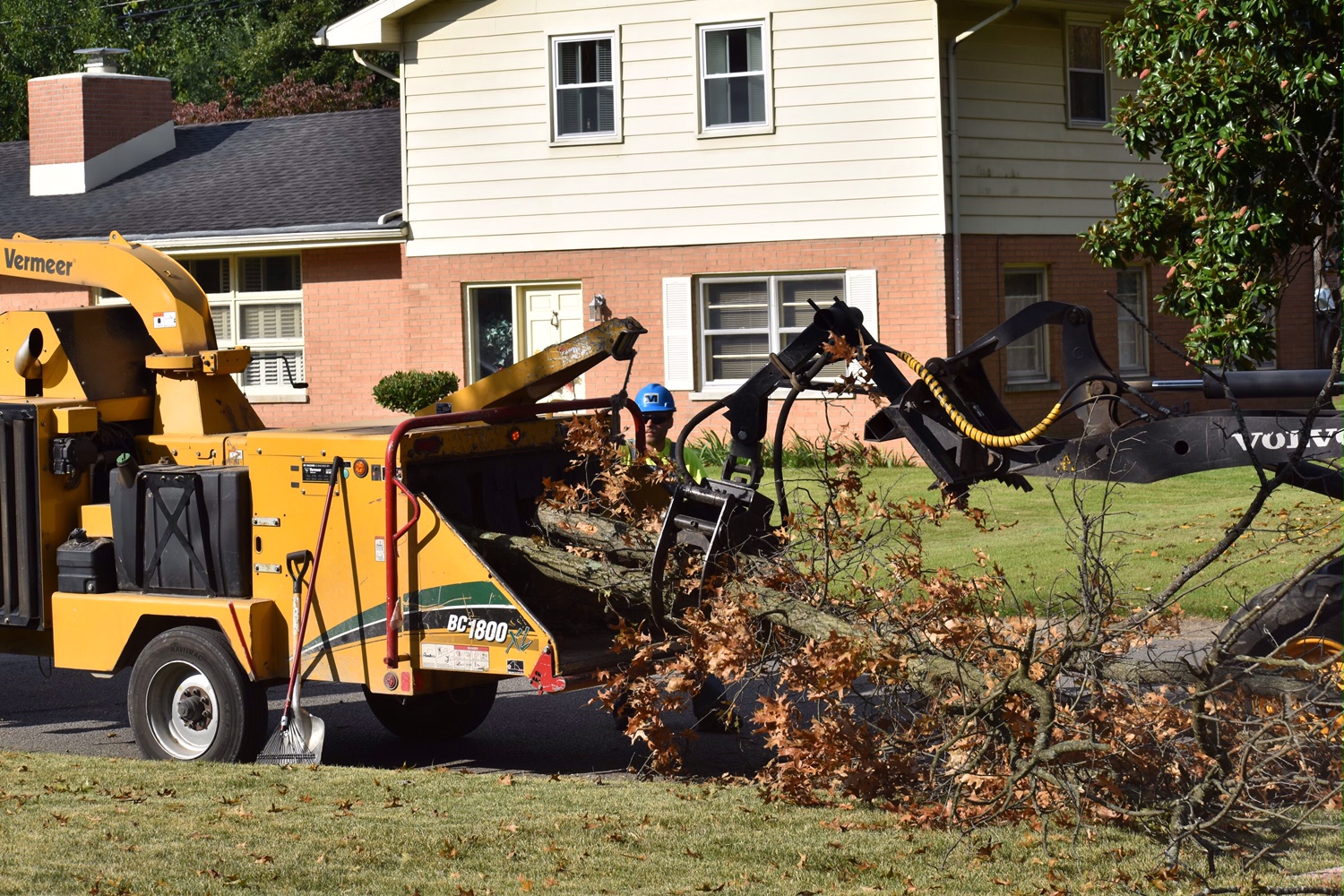 Emergency Storm Damage Services – Randy's Tree Service