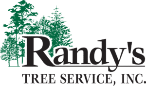 Randy's Tree Service